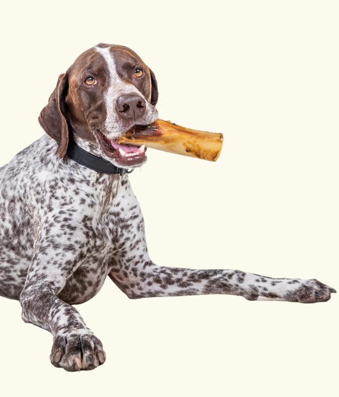 Chews – Winnie Lou - The Canine Company