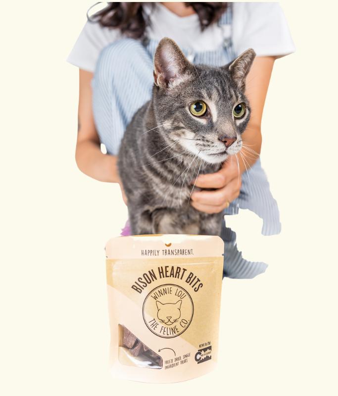 Shop Cat – Winnie Lou - The Canine Company