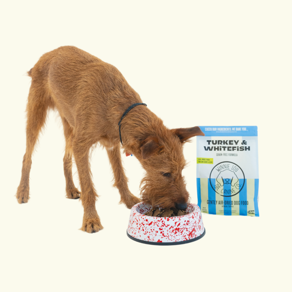 Shop Food – Winnie Lou - The Canine Company