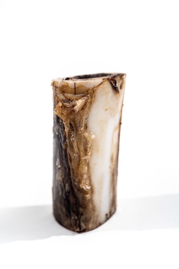 Bison Marrow Bone (4”) – Winnie Lou - The Canine Company